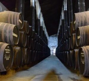 Sherry wine bodega tour Cadiz Vejer and Jerez de la Frontera
